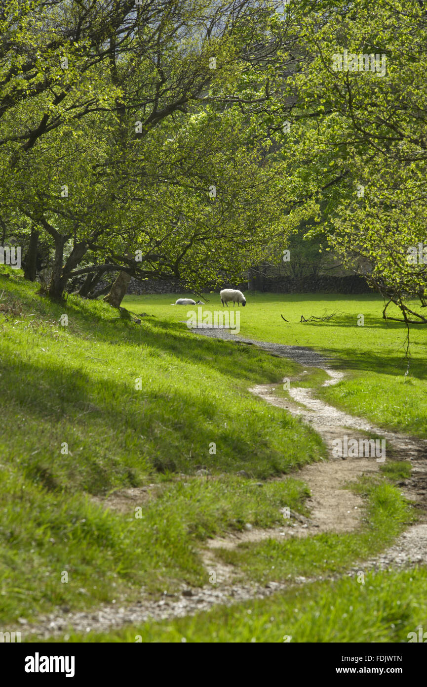 Yockenthwaite farm -Fotos und -Bildmaterial in hoher Auflösung – Alamy