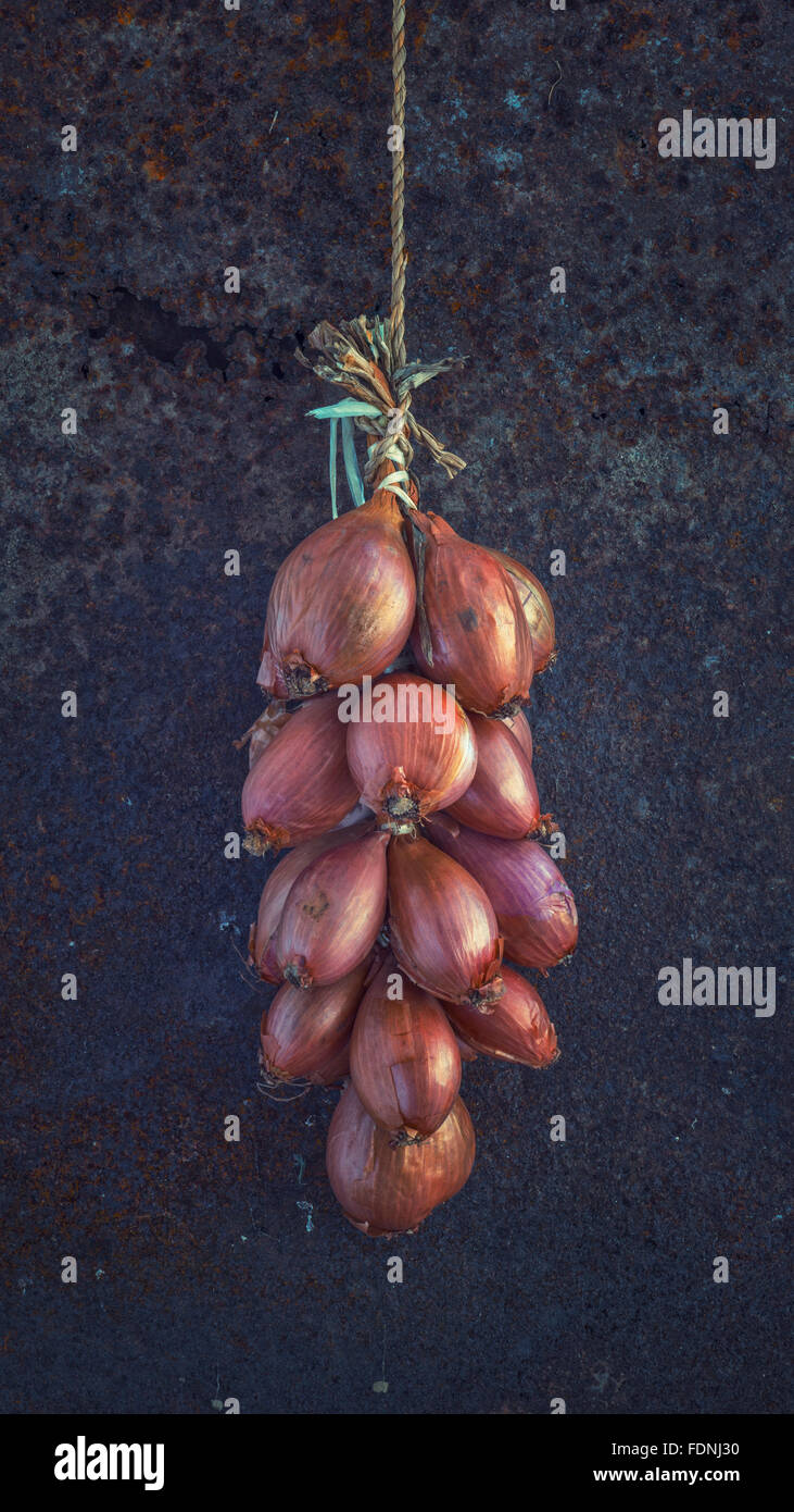 Zwiebeln Schalotten Stockfotos und -bilder Kaufen - Alamy