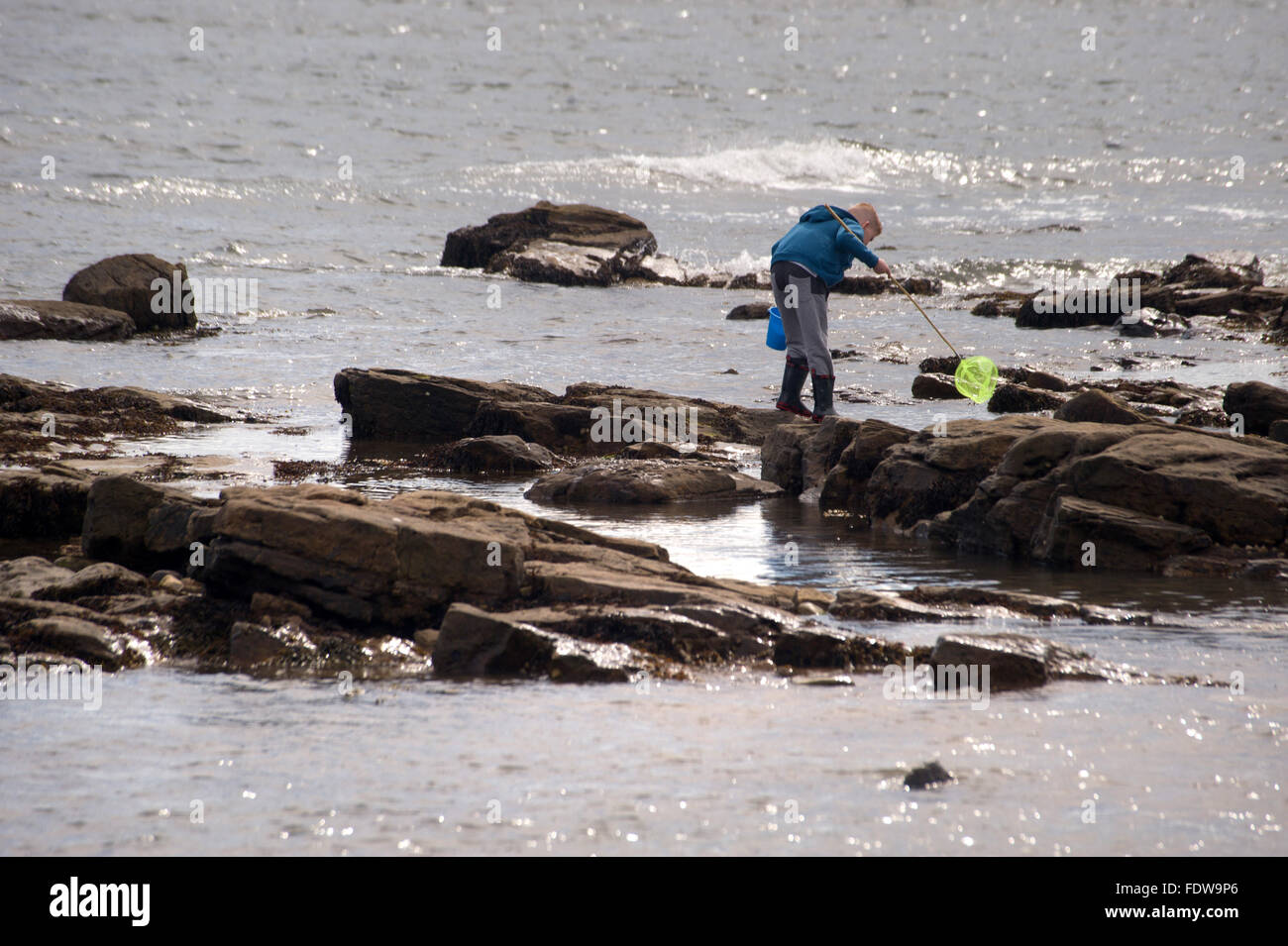 Pool pooling -Fotos und -Bildmaterial in hoher Auflösung – Alamy