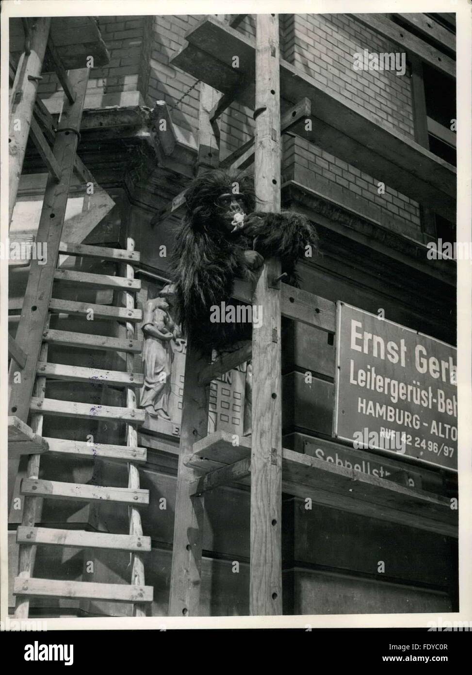 Affe und fuchs -Fotos und -Bildmaterial in hoher Auflösung – Alamy