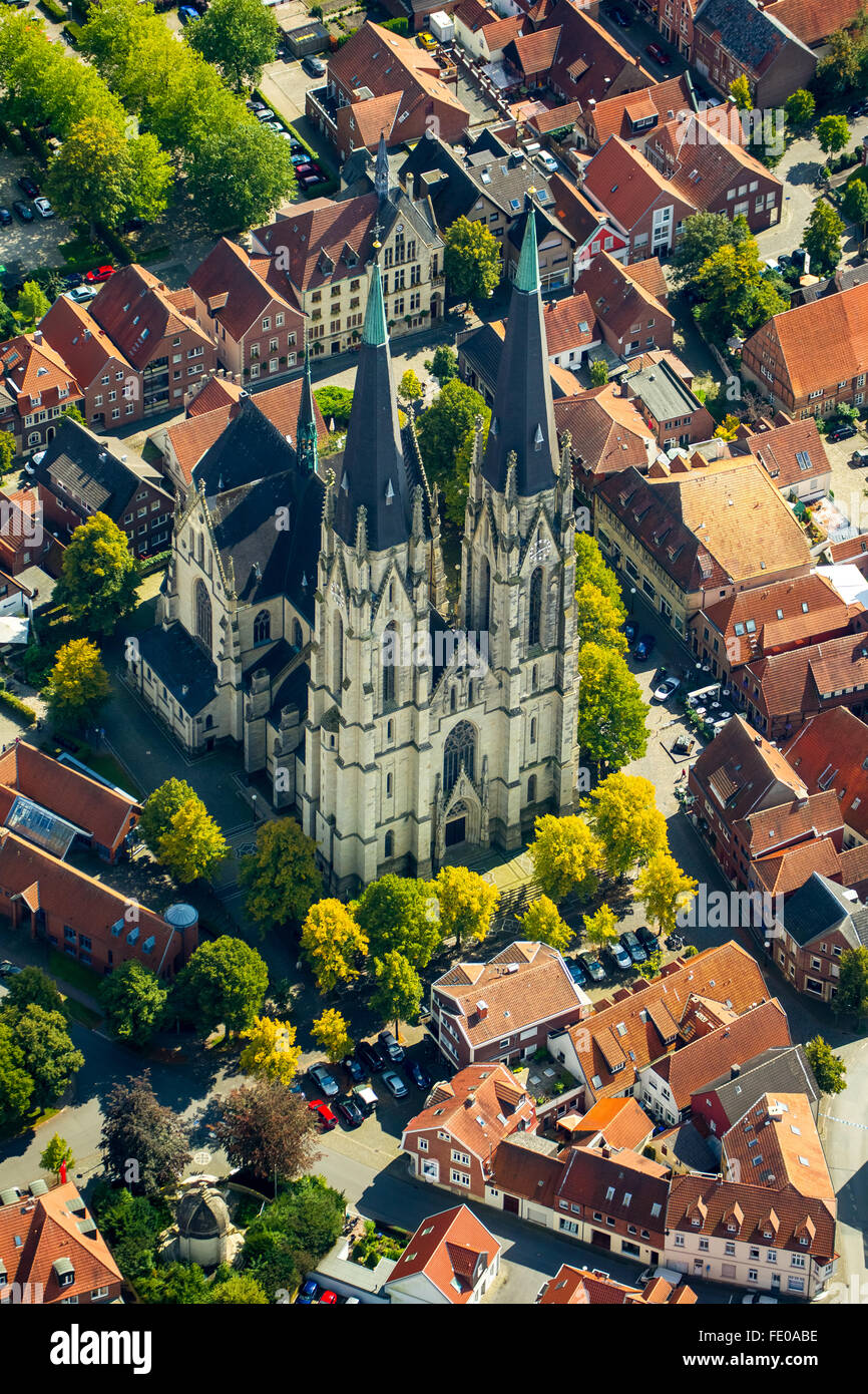 Luftaufnahme Billerbecker Dom Ludgeri Dom Dom St Ludgerus