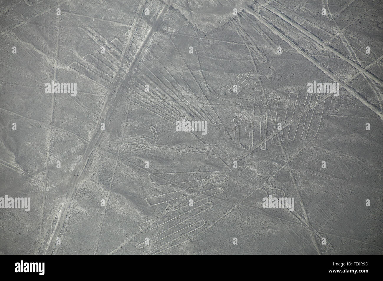 Die nazca linien -Fotos und -Bildmaterial in hoher Auflösung – Alamy