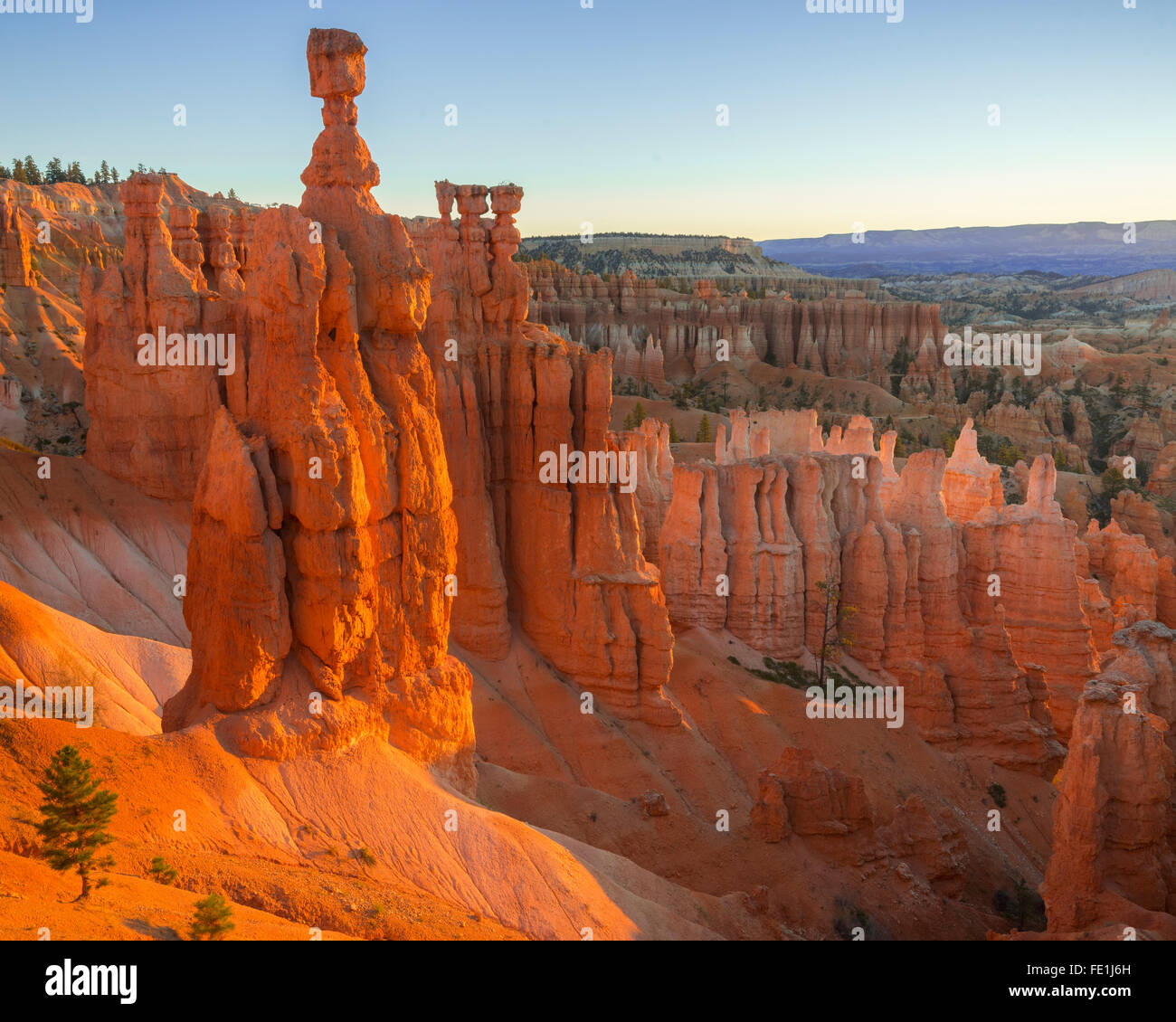 Bryce Canyon Nationalpark, UT: Morgensonne in der Bryce Ampitheater ...