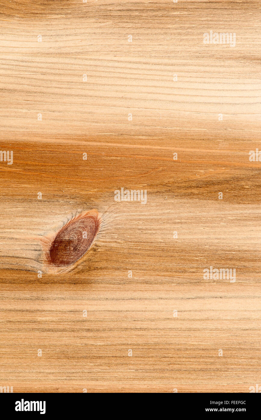 Kiefer Holz Plank Textur hellbraun mit Knoten Wand natürliche Maserung ...