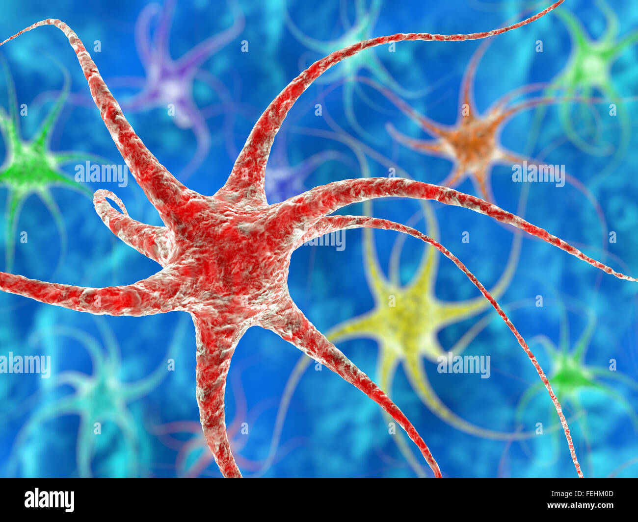 Menschliche nervenzellen -Fotos und -Bildmaterial in hoher Auflösung ...