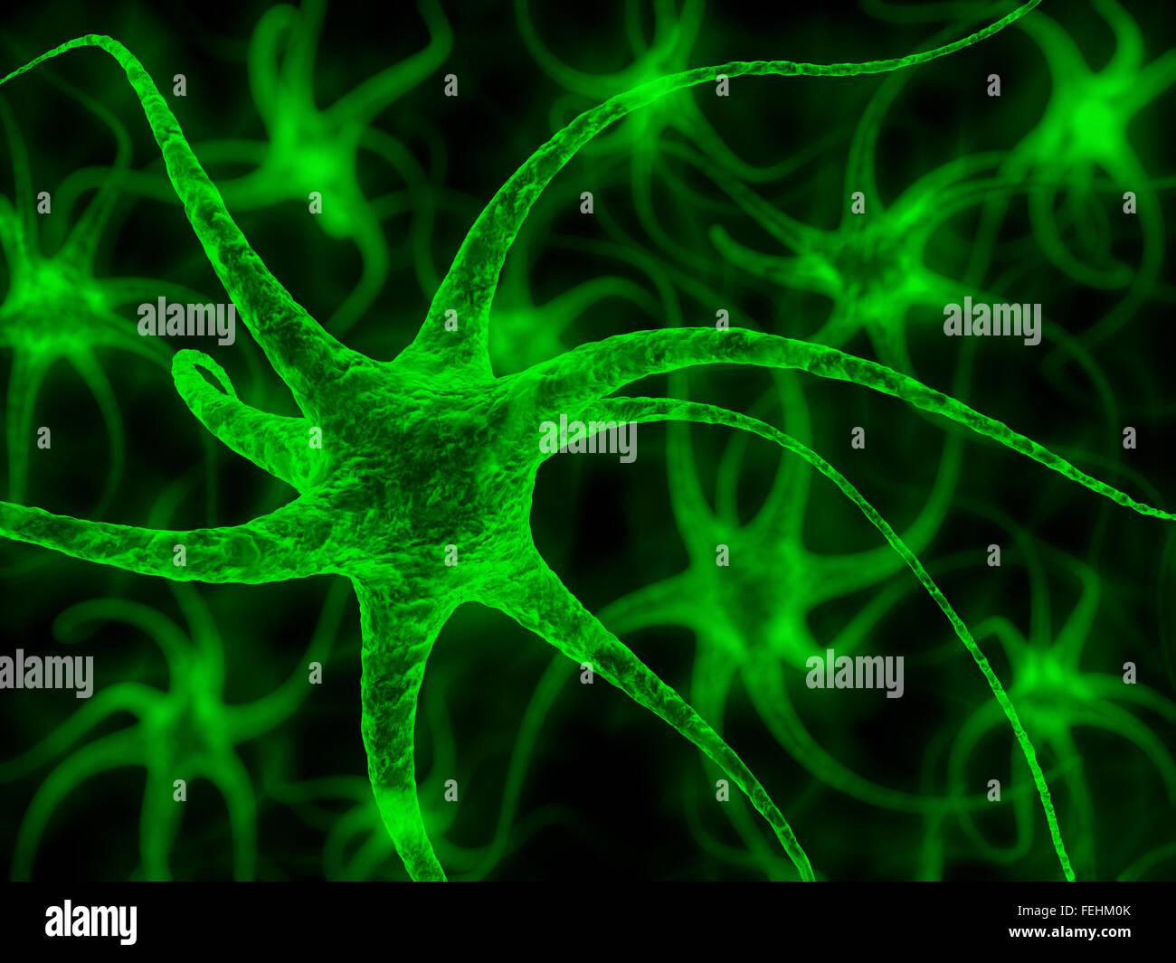 Nerven zelle -Fotos und -Bildmaterial in hoher Auflösung – Alamy