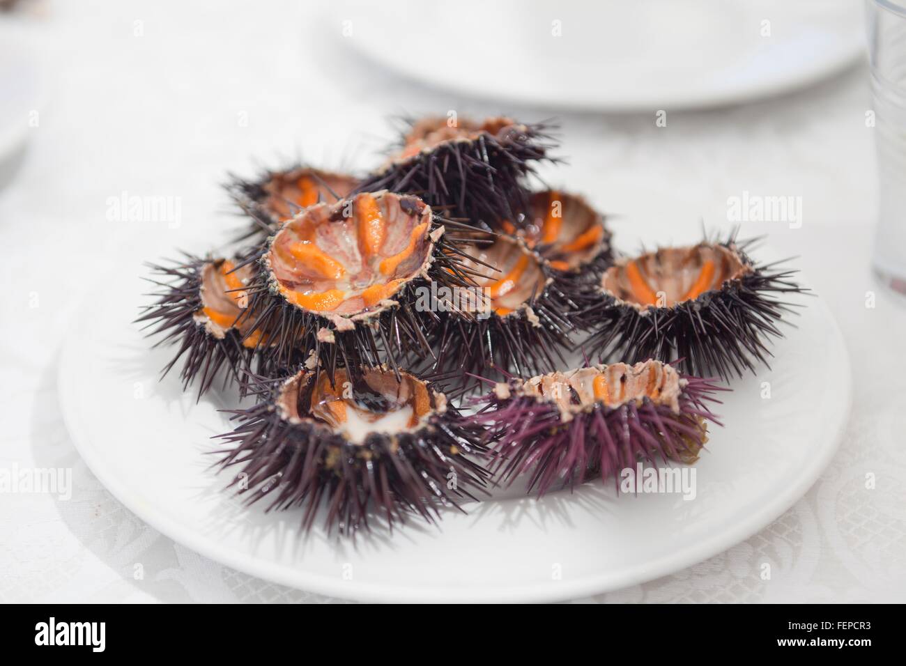 Frische seeigel -Fotos und -Bildmaterial in hoher Auflösung – Alamy