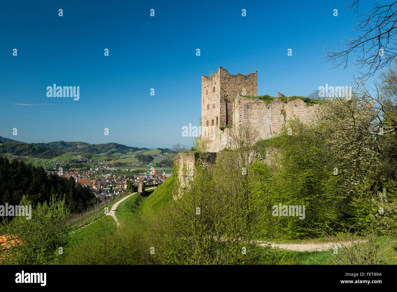 Burgruinen Ruine Neu-Schauenburg, Oberkirch, Ortenau, Schwarzwald ...
