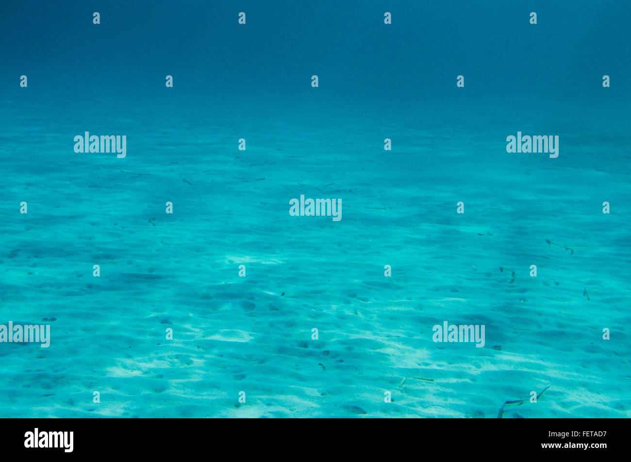 Ocean floor -Fotos und -Bildmaterial in hoher Auflösung – Alamy