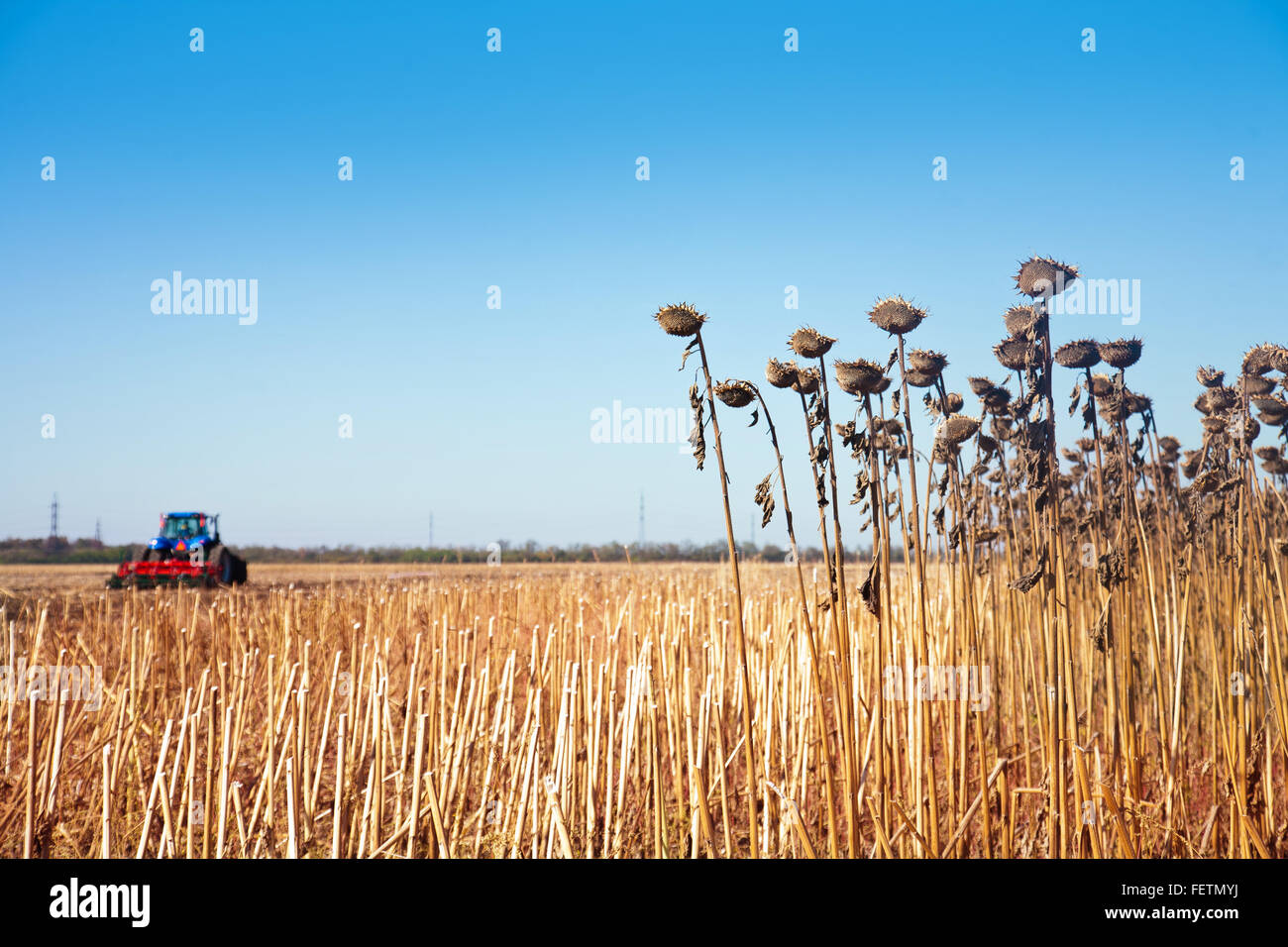 Ernte bleibt -Fotos und -Bildmaterial in hoher Auflösung – Alamy