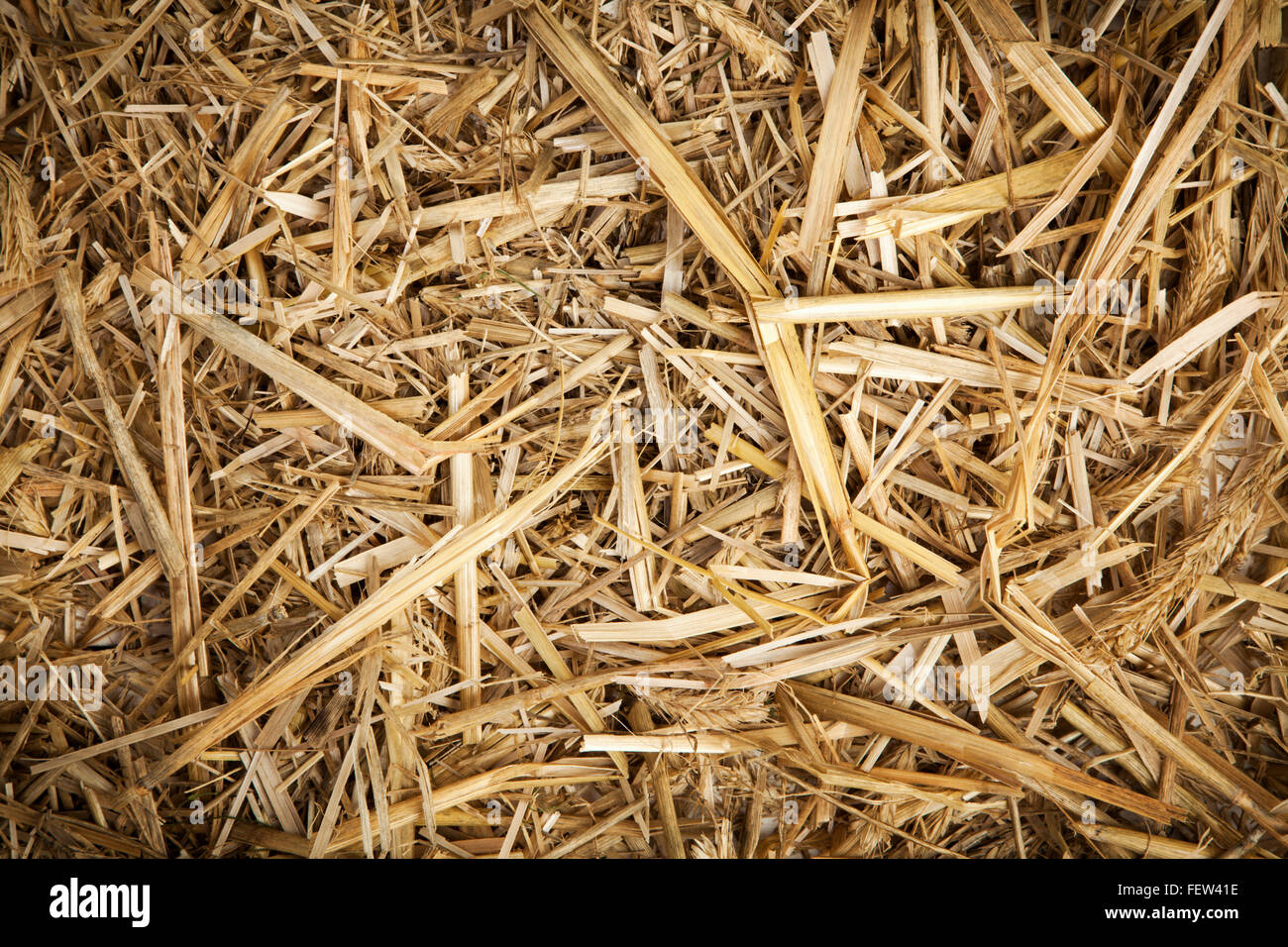 Stabile ernte -Fotos und -Bildmaterial in hoher Auflösung – Alamy