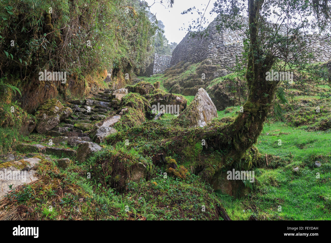 Andes berge inka ruine -Fotos und -Bildmaterial in hoher Auflösung – Alamy