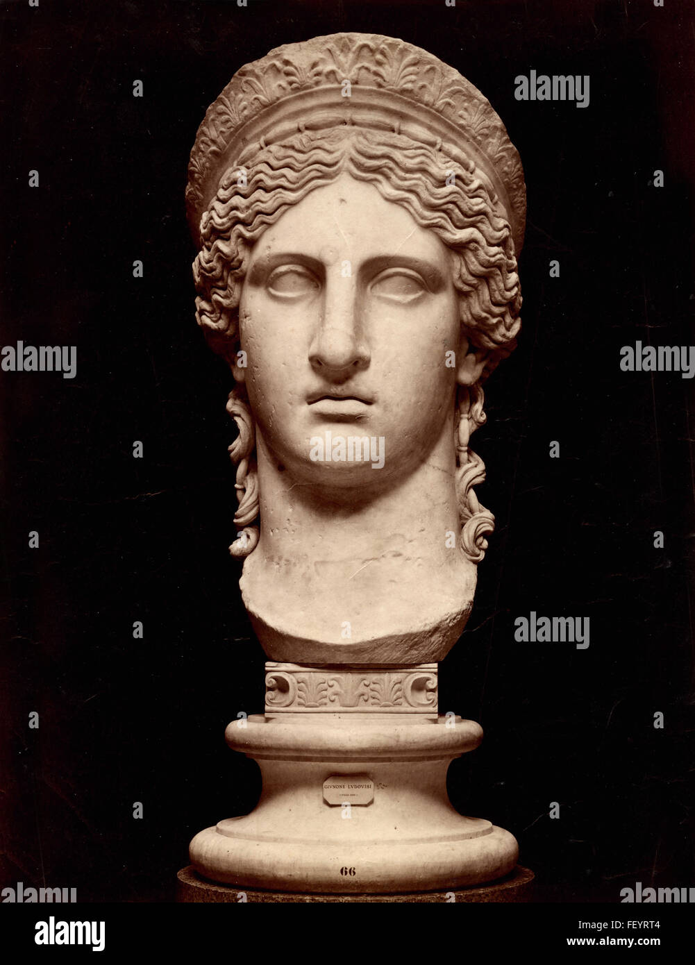 Kopf der Juno, römische statue Stockfotografie - Alamy