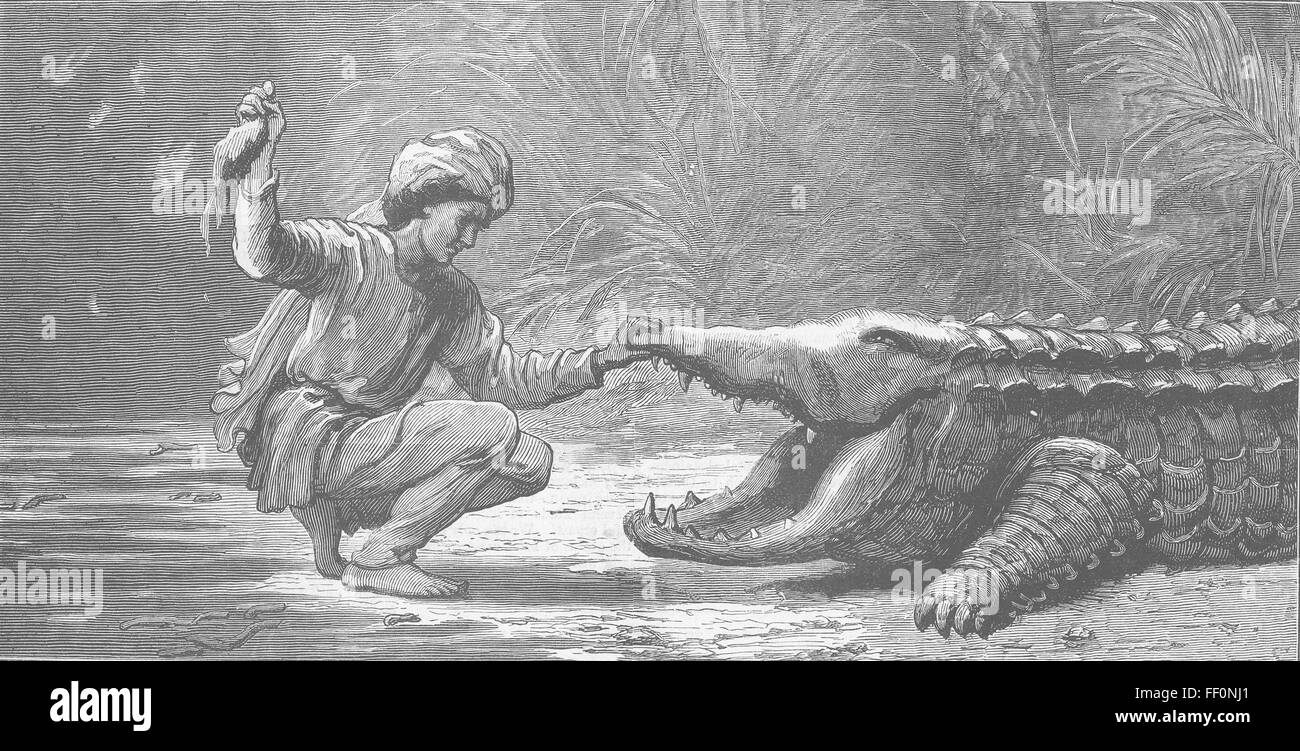 Indien rajah -Fotos und -Bildmaterial in hoher Auflösung – Alamy