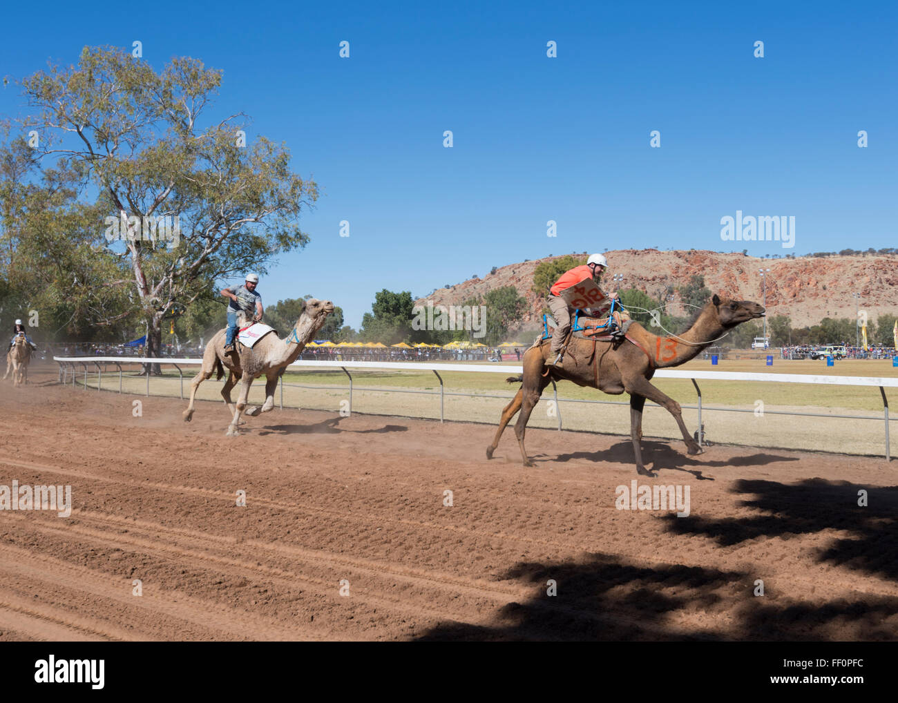 Kamel tasse -Fotos und -Bildmaterial in hoher Auflösung – Alamy