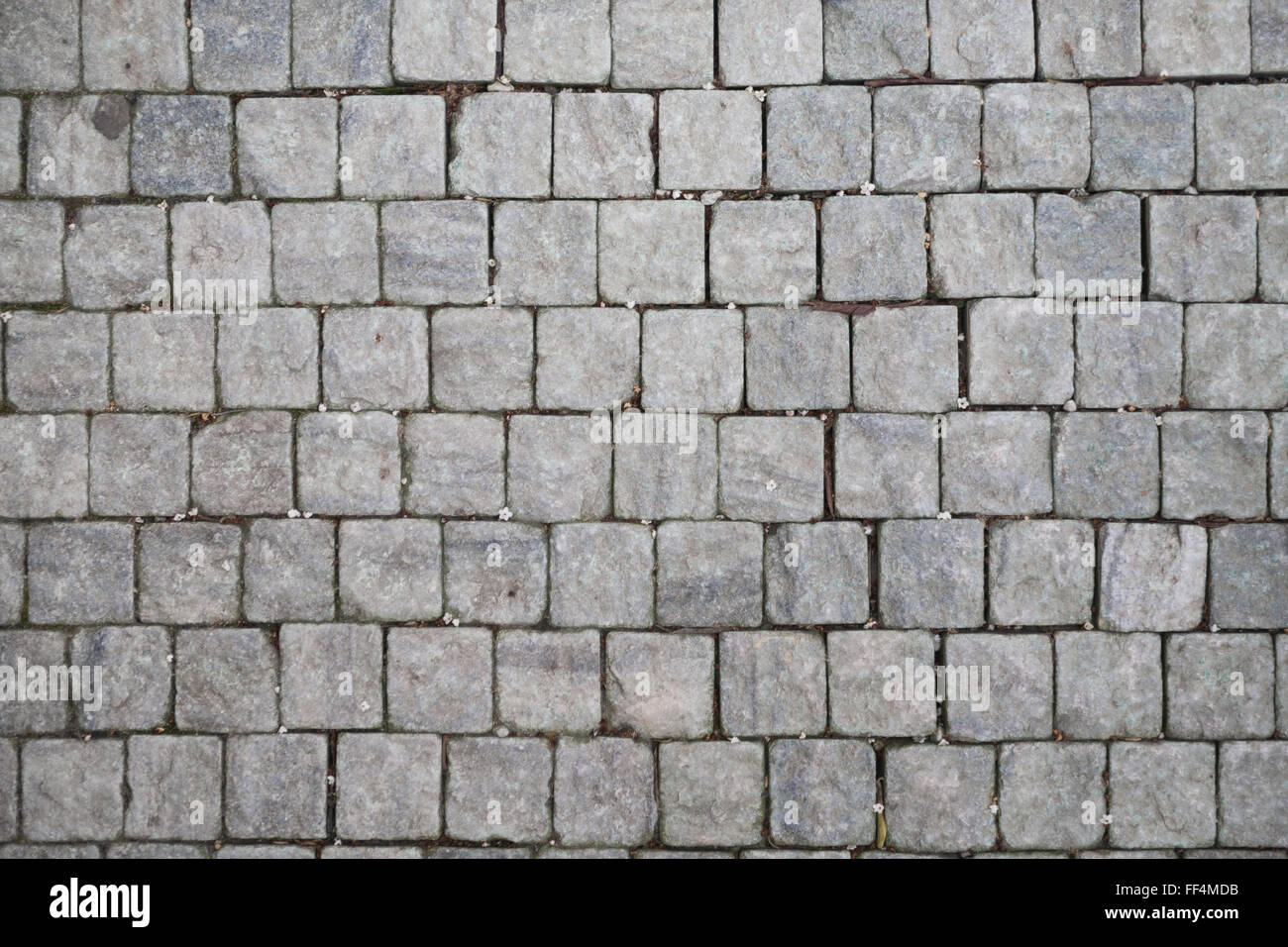 Pavement texture -Fotos und -Bildmaterial in hoher Auflösung – Alamy