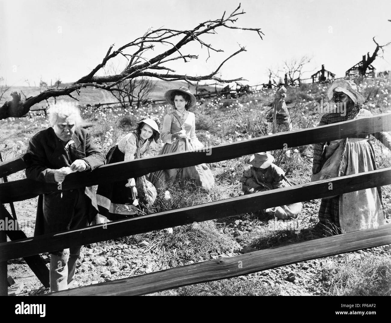 GONE WITH THE WIND, 1939. NUM-Szene aus dem Film mit (von links) Thomas ...