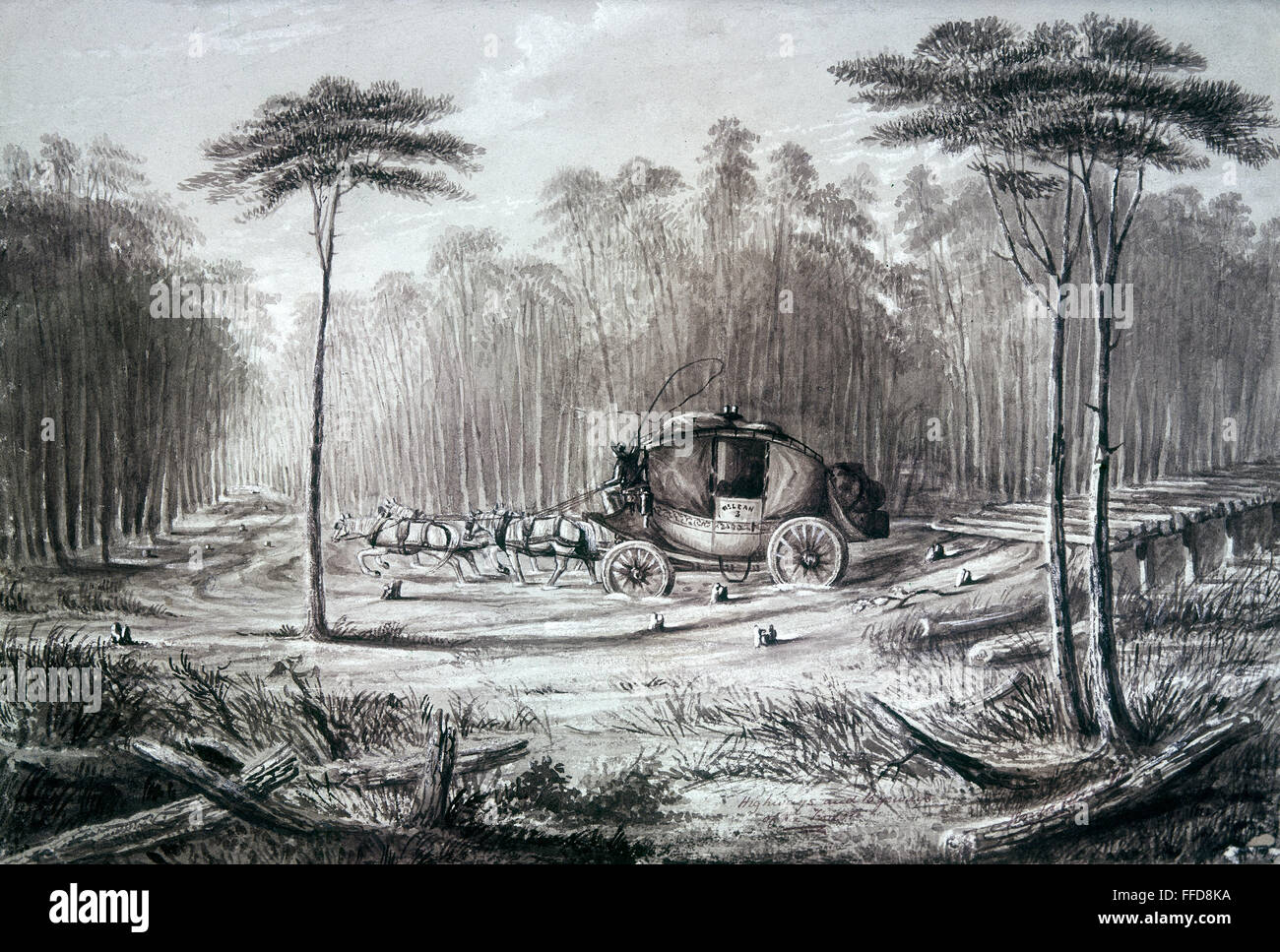 Wald skizze -Fotos und -Bildmaterial in hoher Auflösung – Alamy