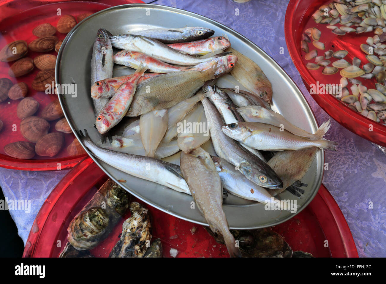 Frischer Fisch stall in Borgo Marina, Altstadt von Naples Stadt ...
