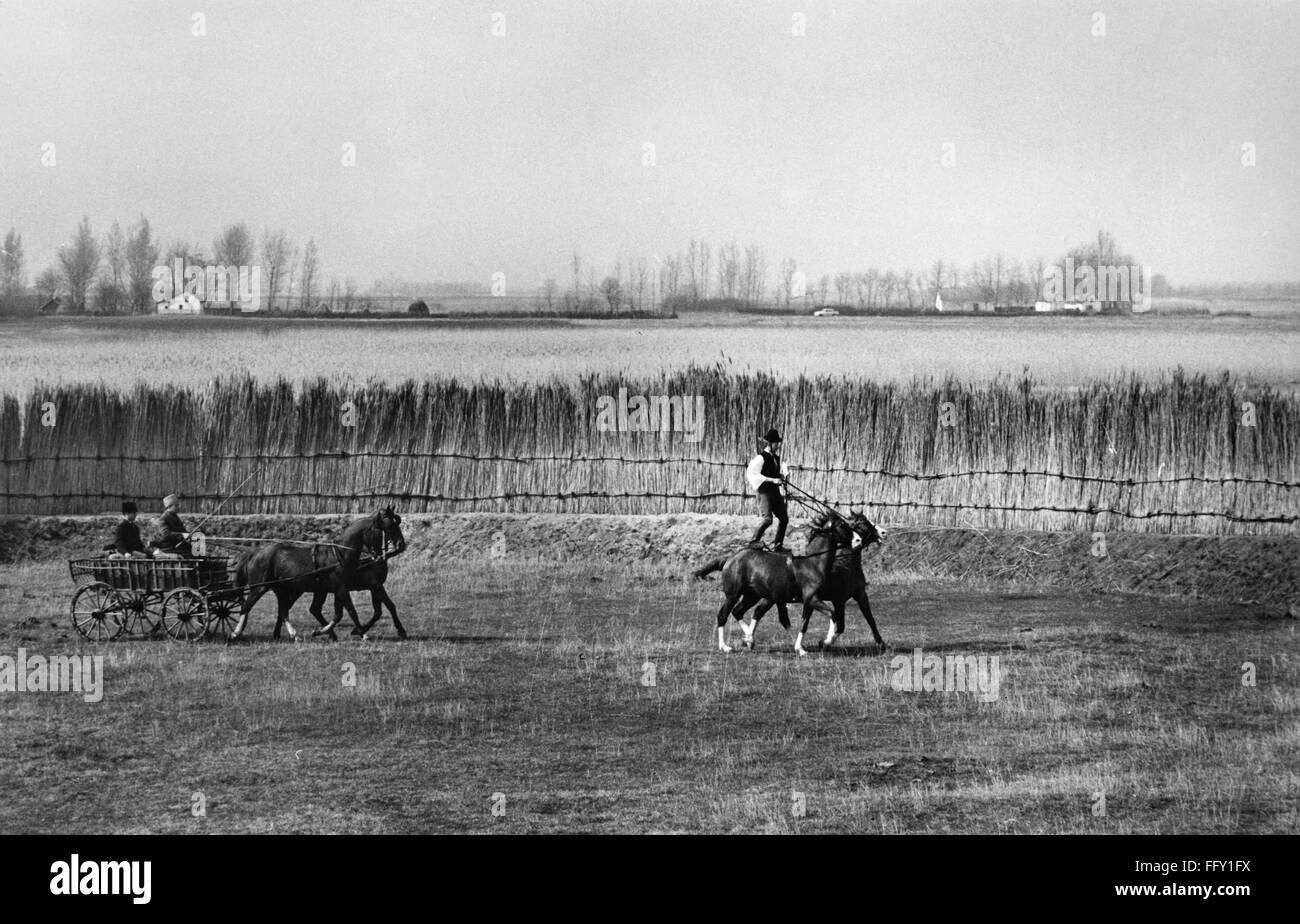 Bugac puszta -Fotos und -Bildmaterial in hoher Auflösung – Alamy