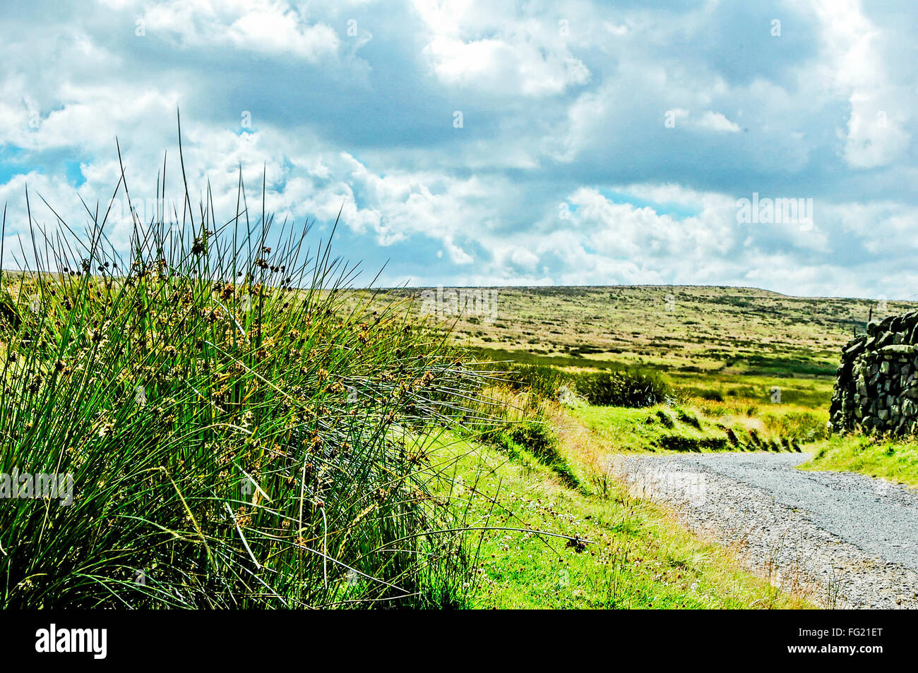 Sonniges bronte land -Fotos und -Bildmaterial in hoher Auflösung – Alamy