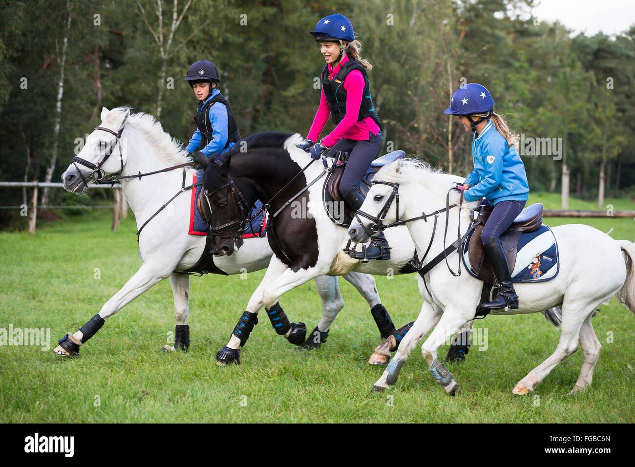 German riding pony girl on -Fotos und -Bildmaterial in hoher Auflösung ...