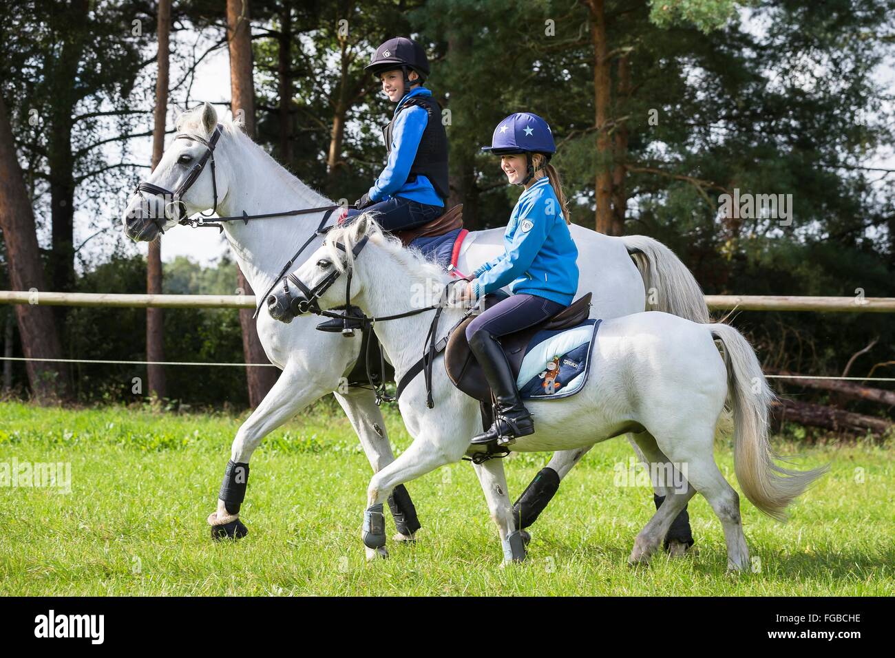 German riding pony girl on -Fotos und -Bildmaterial in hoher Auflösung ...