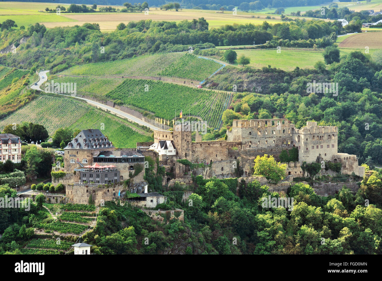 Burg Rheinfels oberhalb der Stadt Sankt Goar und Umgebung terrassierten ...