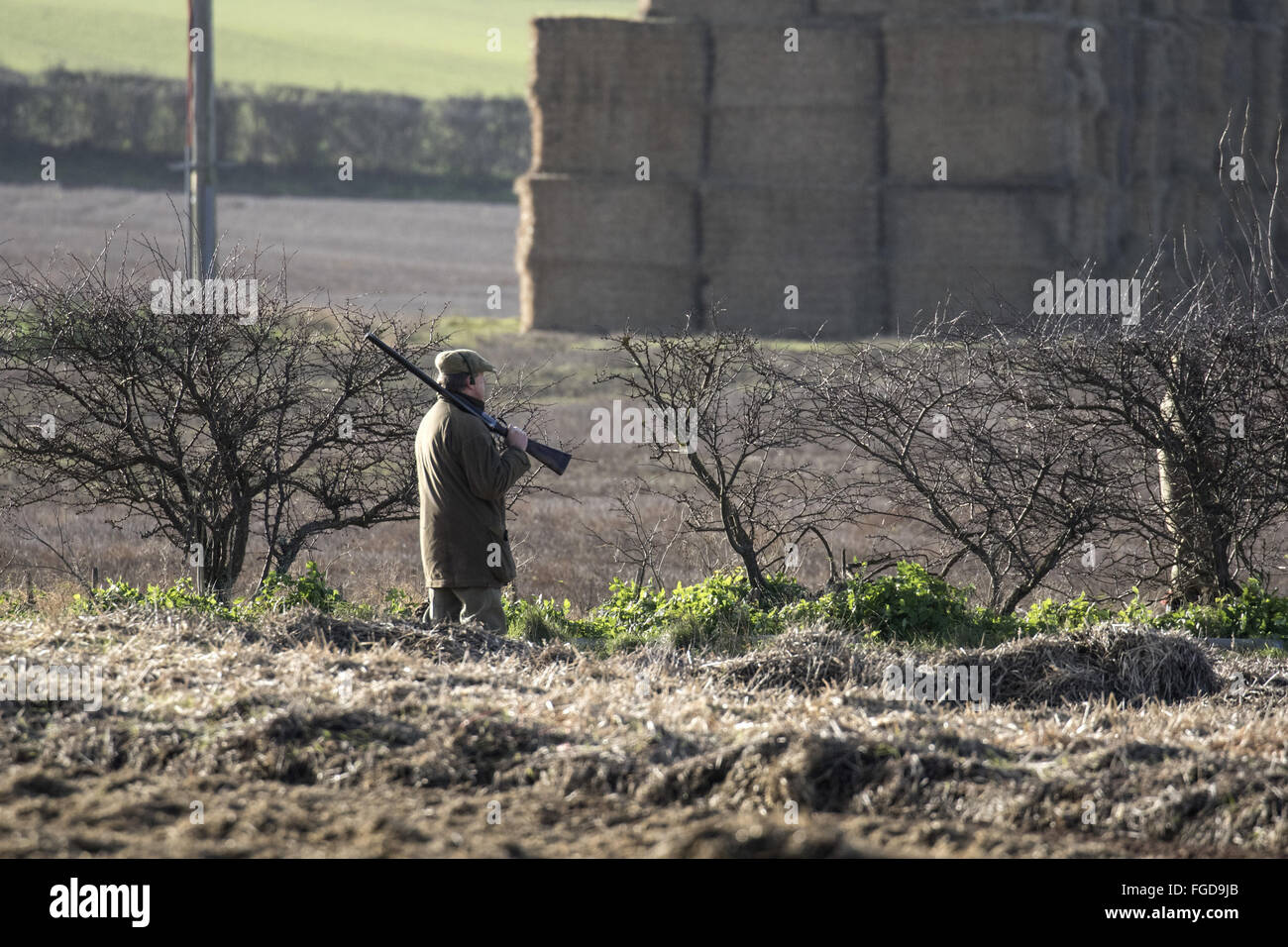 Der mann mit einer waffe -Fotos und -Bildmaterial in hoher Auflösung ...