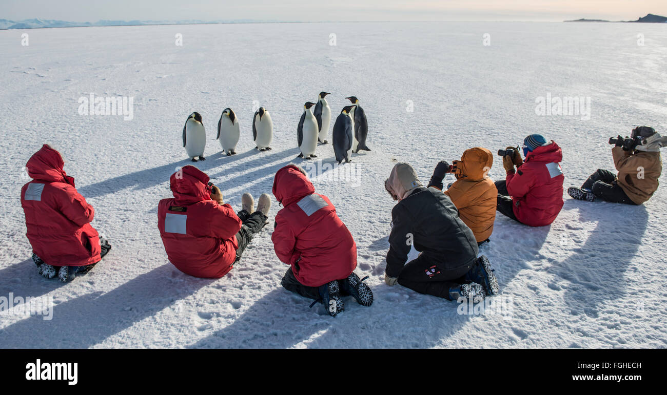 Eine Gruppe von Menschen fotografieren Kaiserpinguine auf Ross Island ...