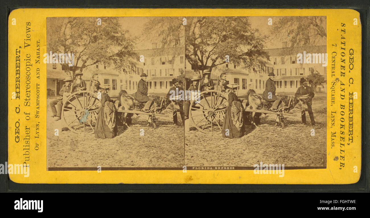 Ein stereoskopisches Foto des Florida Express, das den Zug in Bewegung ...