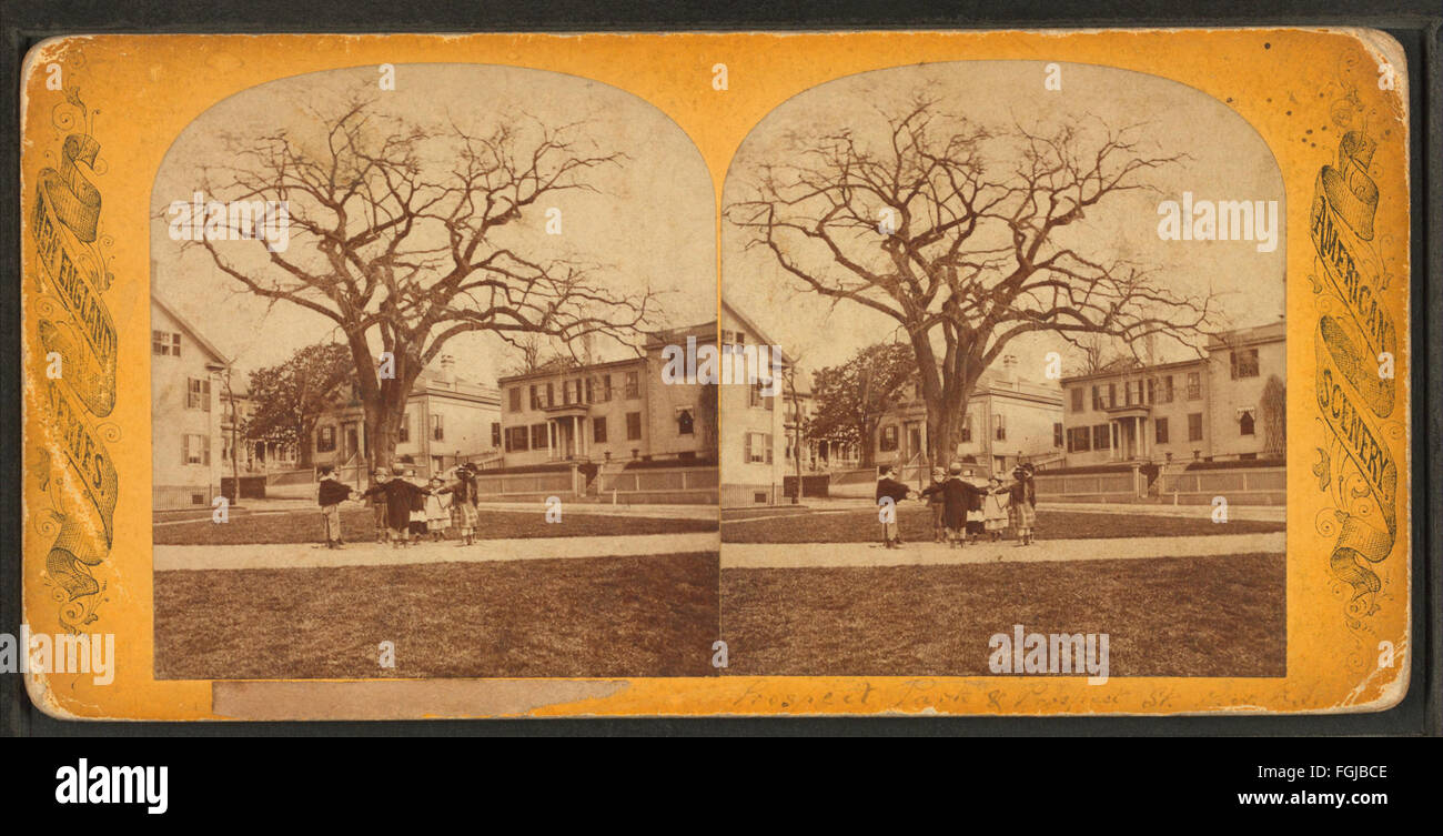 Ein Blick aus der Robert N. Dennis Kollektion zeigt den Prospect Park ...