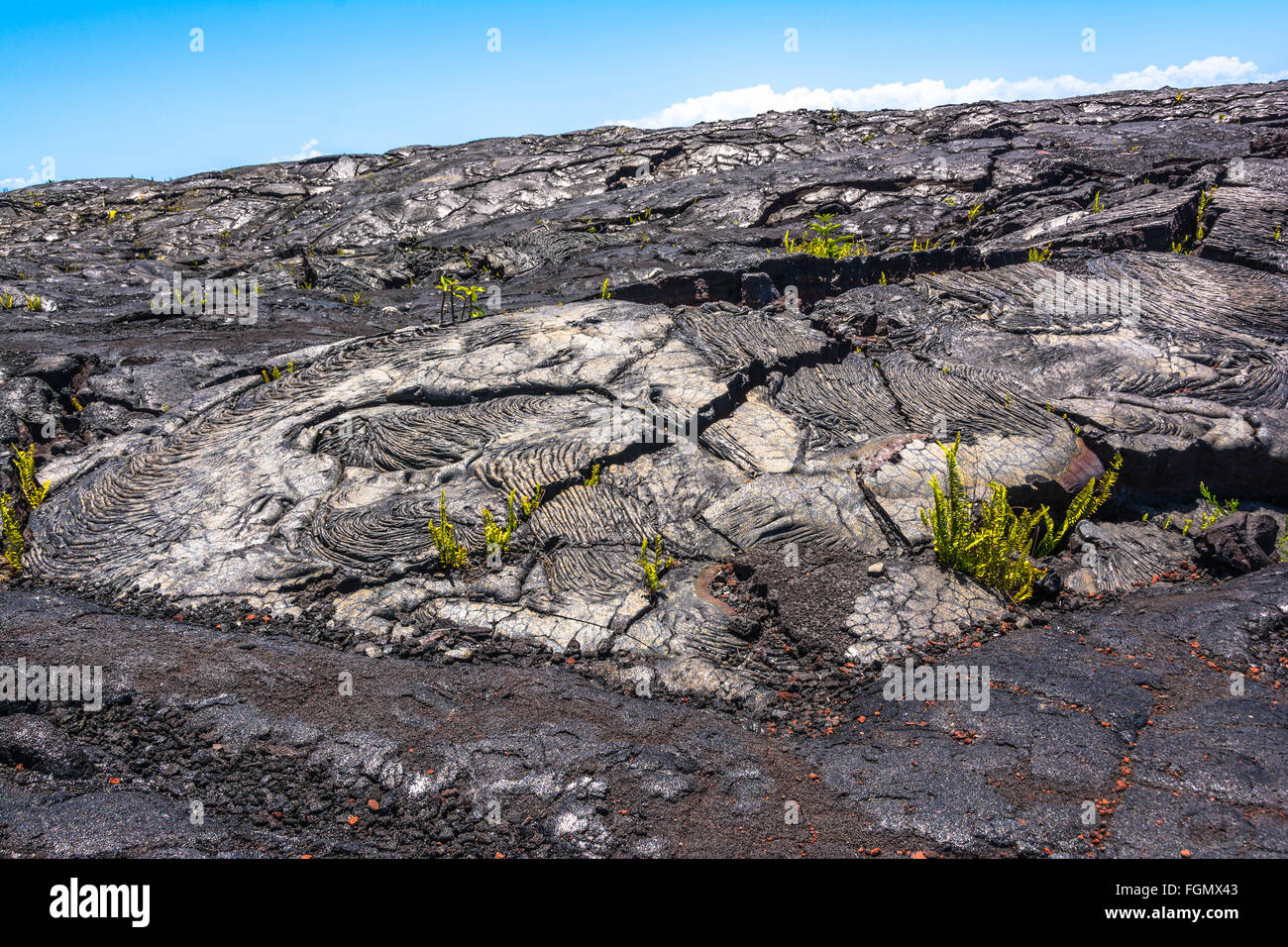 Neuer lavastrom -Fotos und -Bildmaterial in hoher Auflösung – Alamy