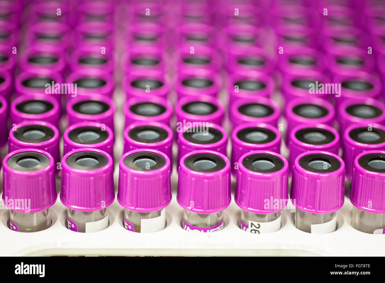 Laboratory testing -Fotos und -Bildmaterial in hoher Auflösung – Alamy