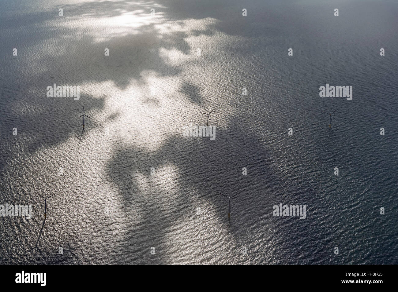 Offshore wind farm birds -Fotos und -Bildmaterial in hoher Auflösung ...