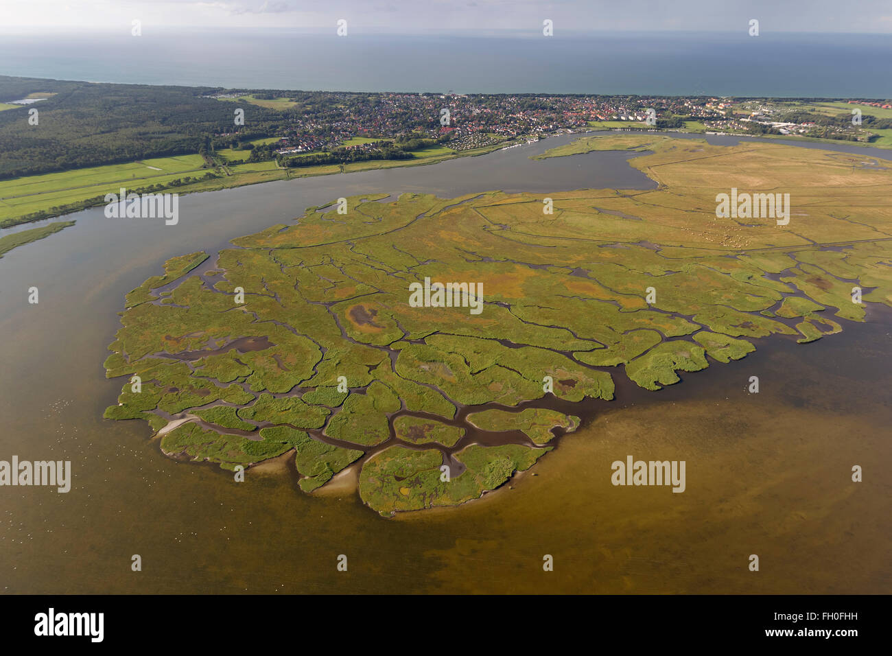 Luftaufnahme, Insel große Kirr, Barth Bodden, Zingst, Ostsee ...