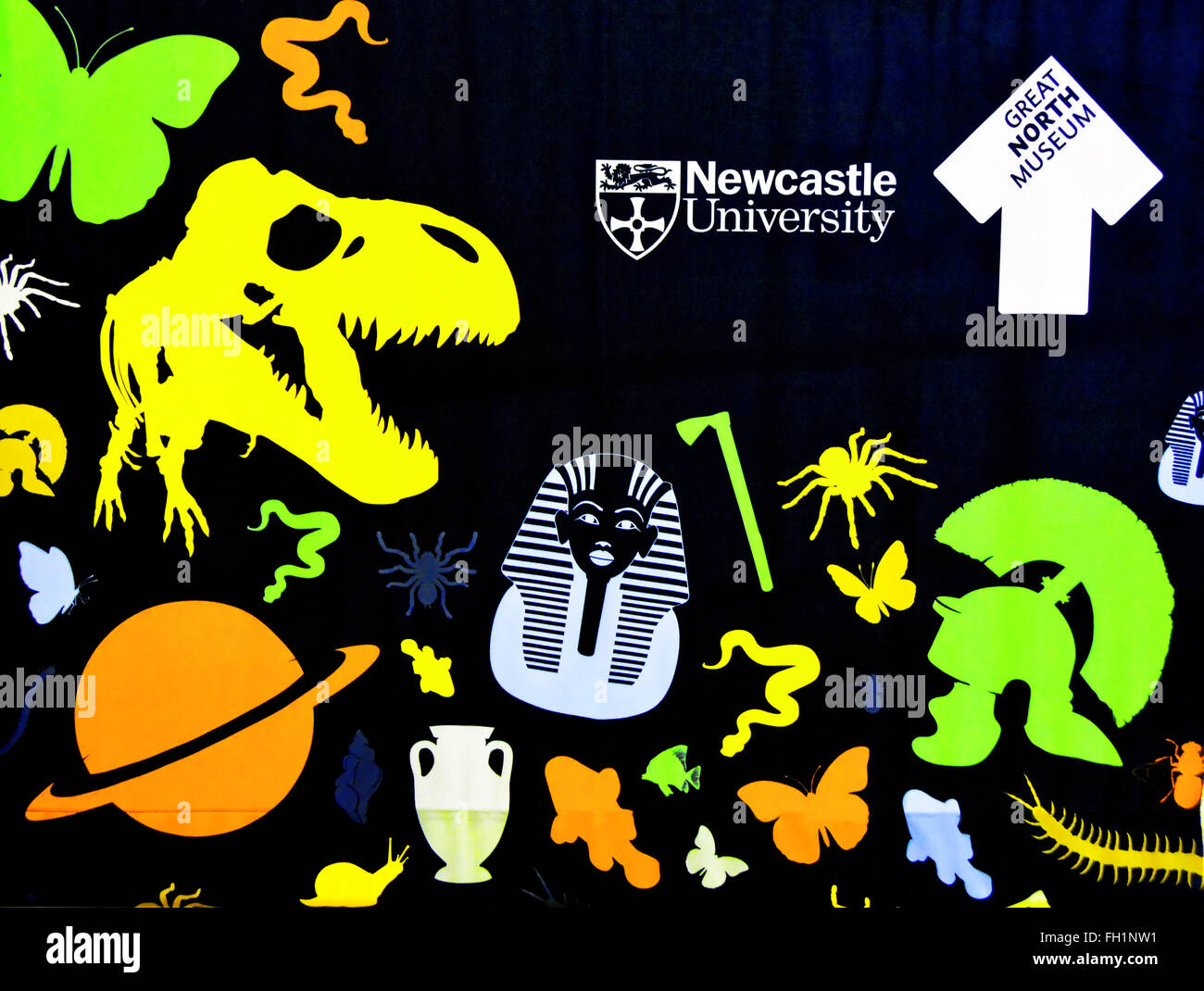 Hancock Great North Museum Newcastle University logo Stockfotografie ...