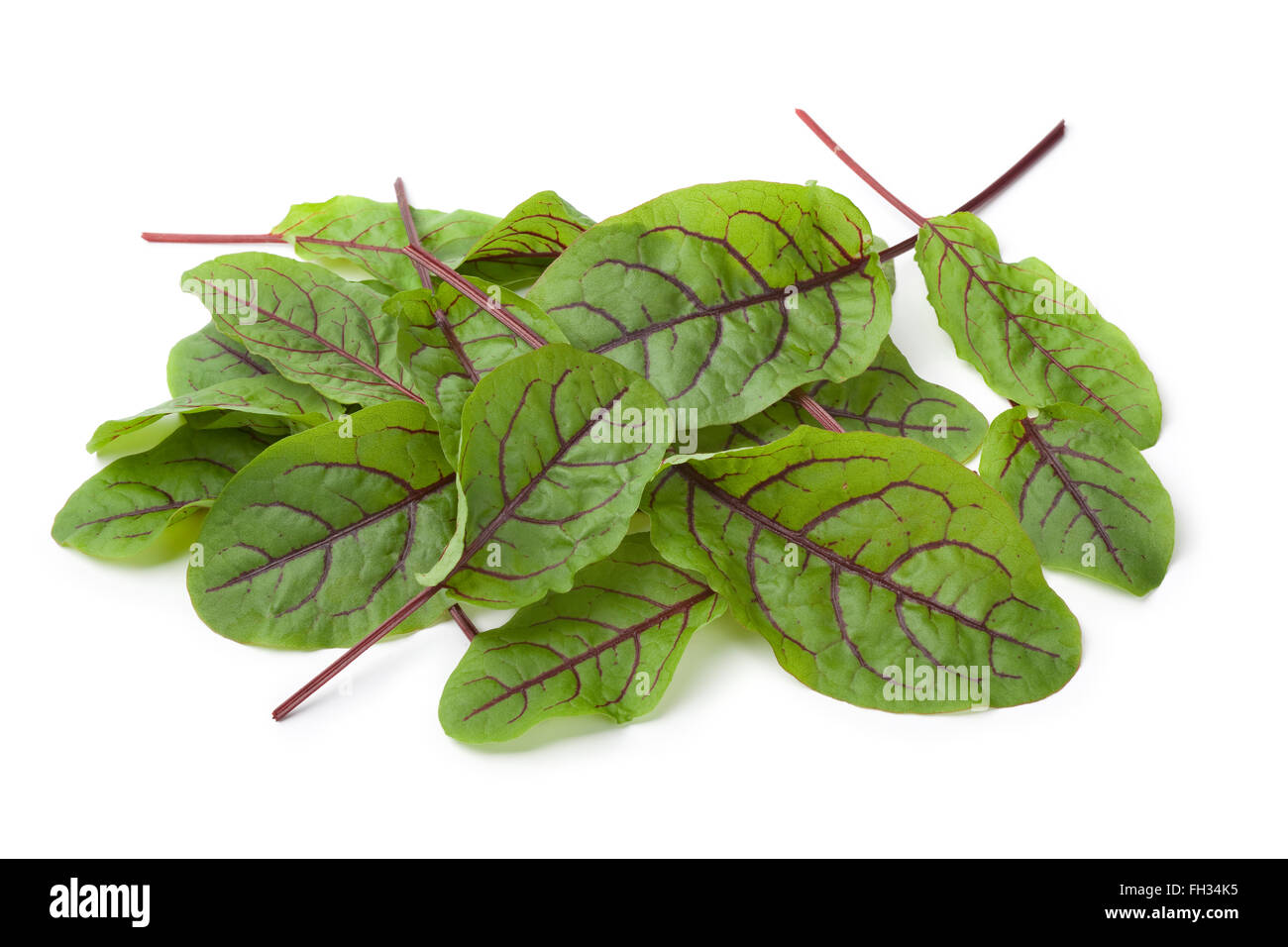 Sauerampfer unkraut -Fotos und -Bildmaterial in hoher Auflösung – Alamy