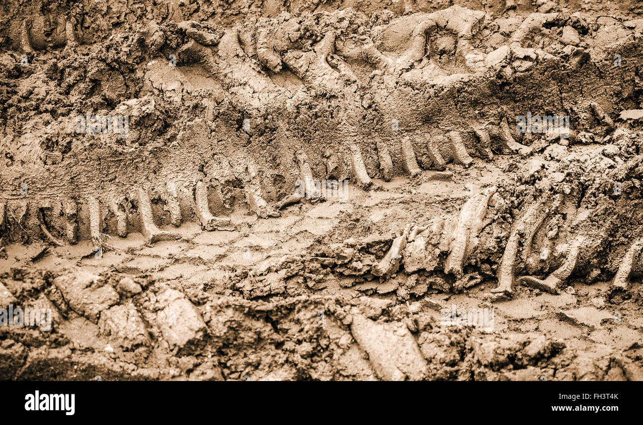 Schlamm matsch -Fotos und -Bildmaterial in hoher Auflösung – Alamy