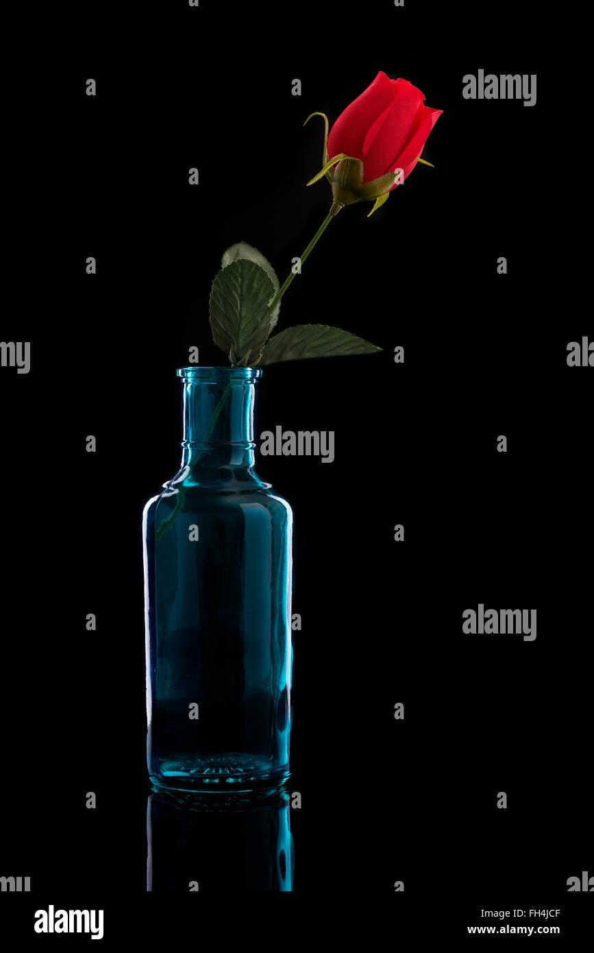Flasche rose -Fotos und -Bildmaterial in hoher Auflösung – Alamy