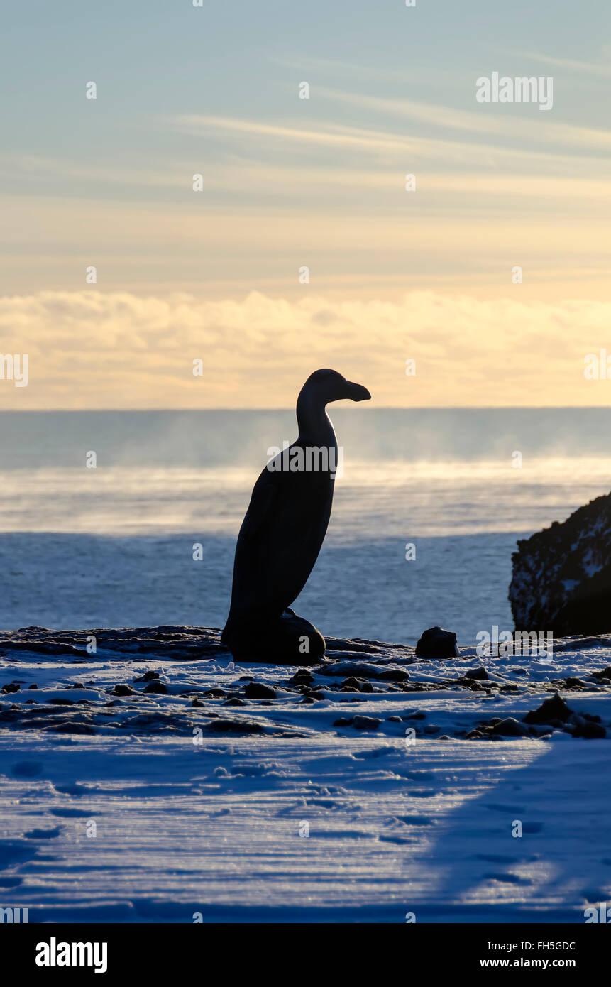 Riesenalk Skulptur Denkmal an Valahnukur Klippen Halbinsel Reykjanes ...