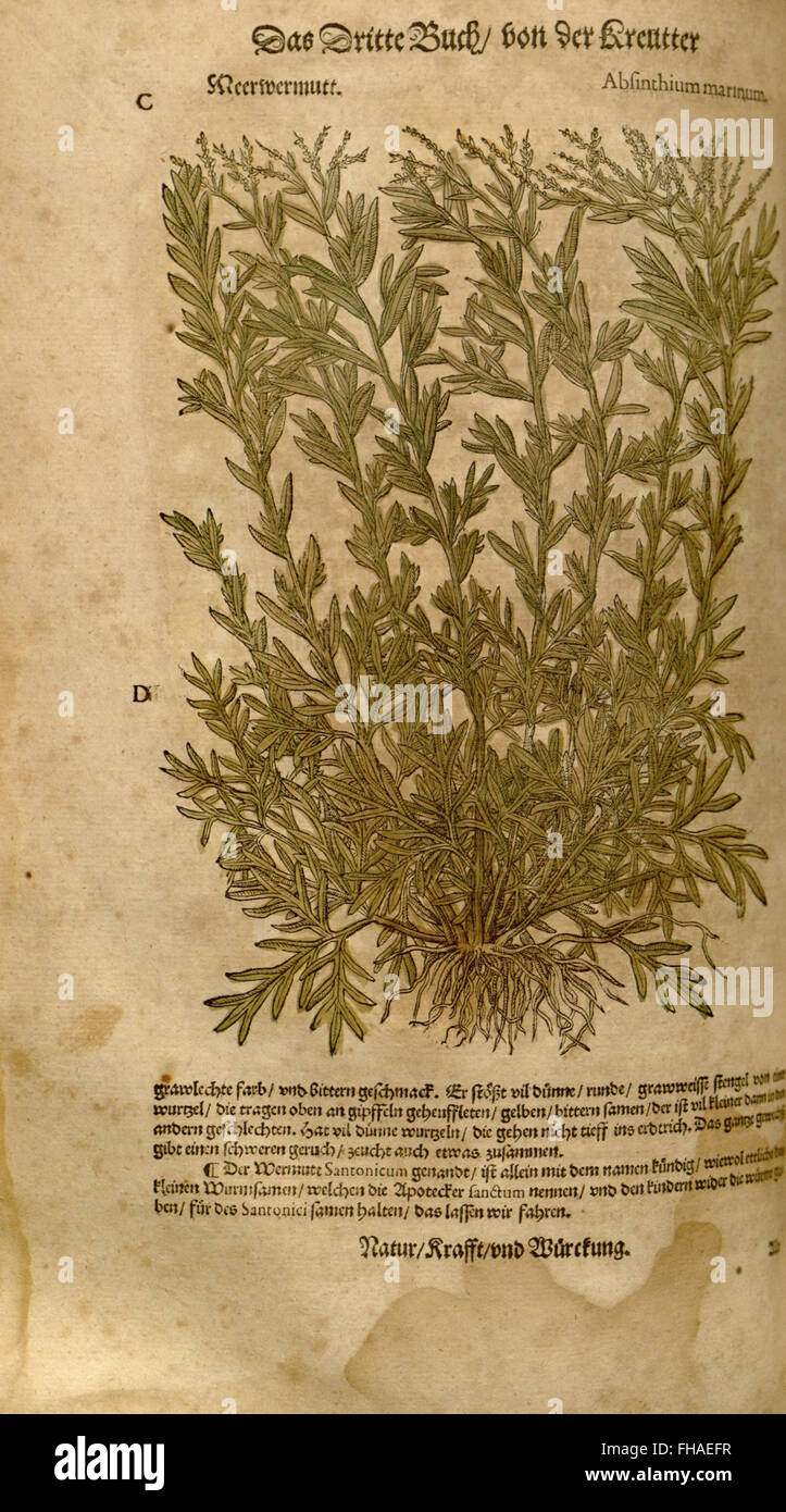 Diese botanische und medizinische Arbeit, die auf Dioscorides’ früherer ...