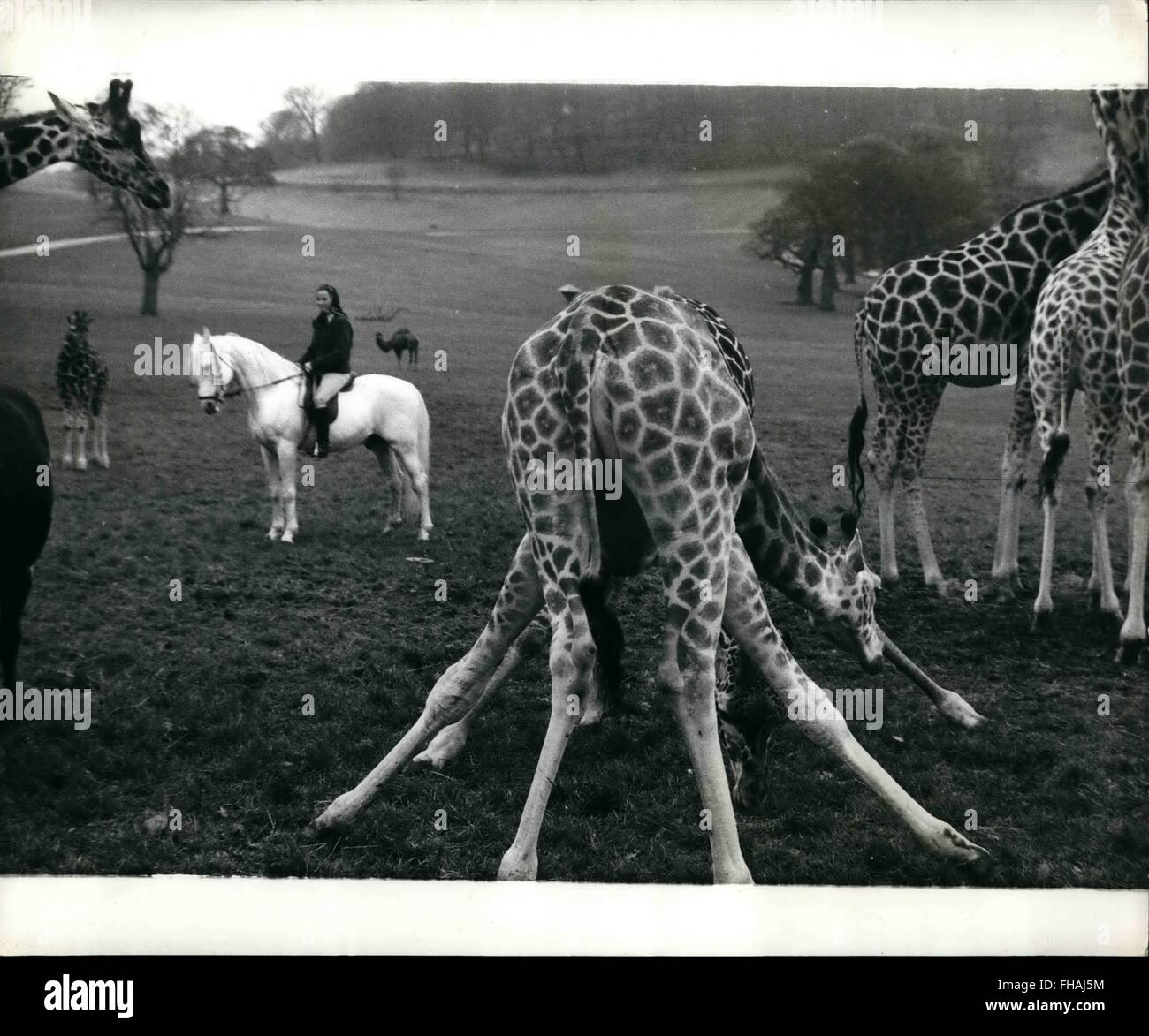 Mary chipperfield -Fotos und -Bildmaterial in hoher Auflösung – Alamy