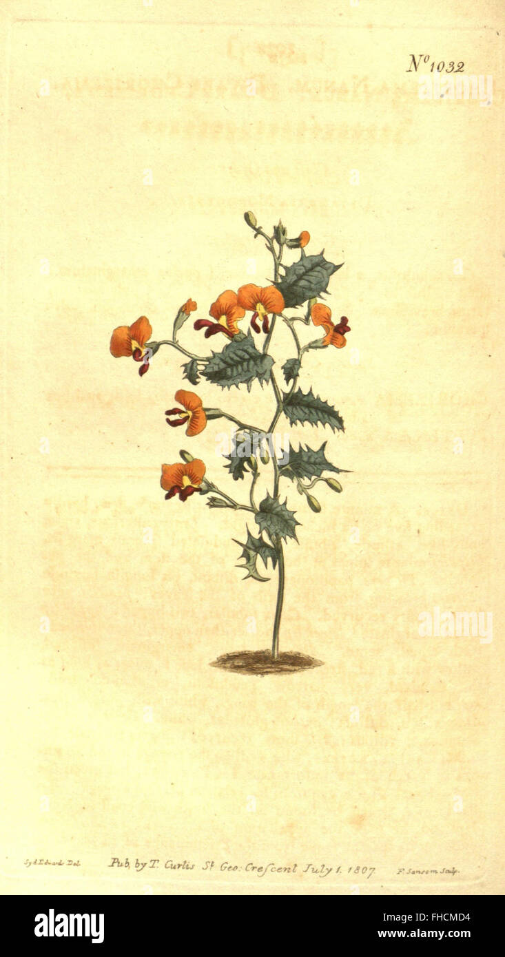 Eine Ausgabe von Curtis's Botanical Magazine im Missouri Botanical ...