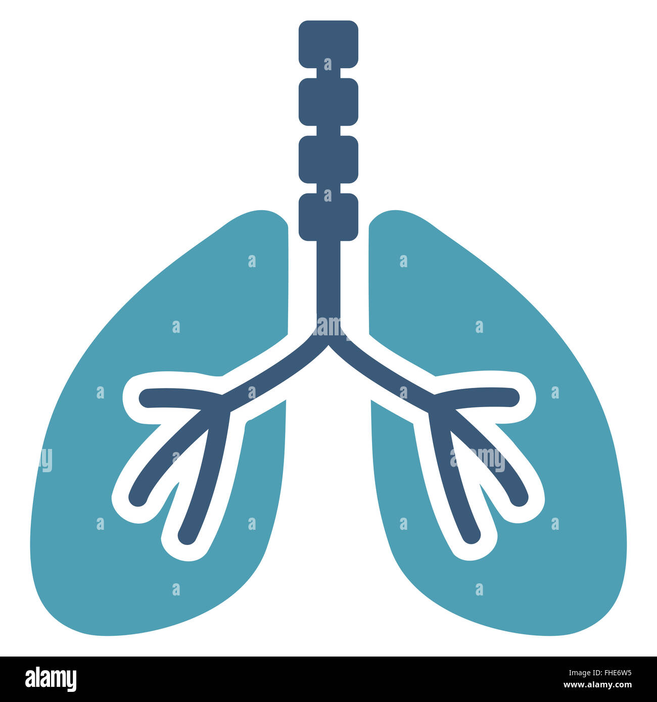 Pulmones pulmones Ausgeschnittene Stockfotos und -bilder - Alamy