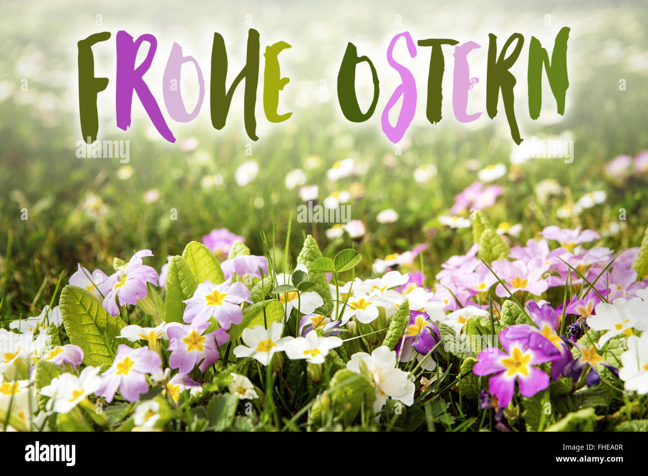 Ostern banner -Fotos und -Bildmaterial in hoher Auflösung – Alamy