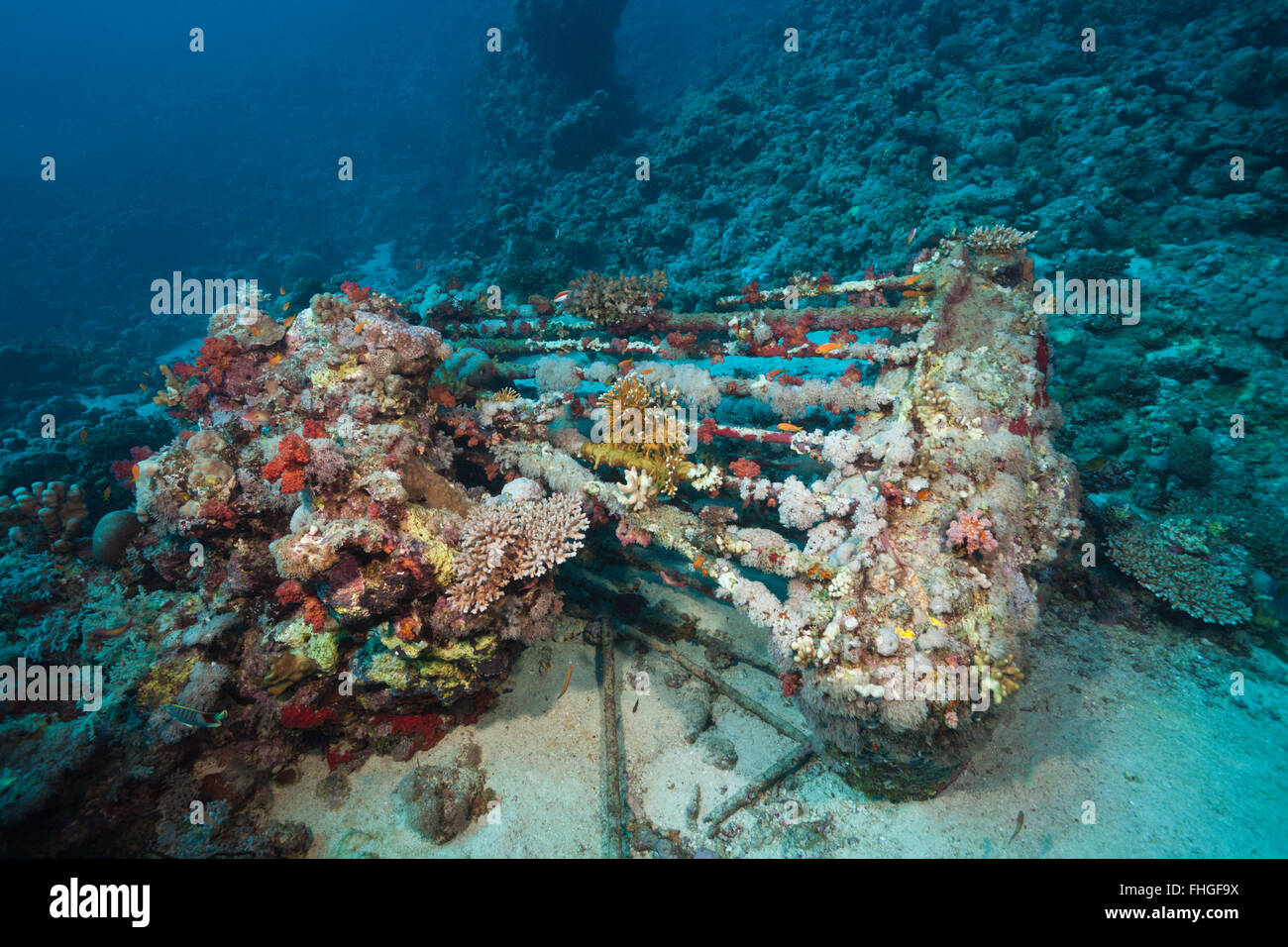 Jacques cousteau conshelf -Fotos und -Bildmaterial in hoher Auflösung ...