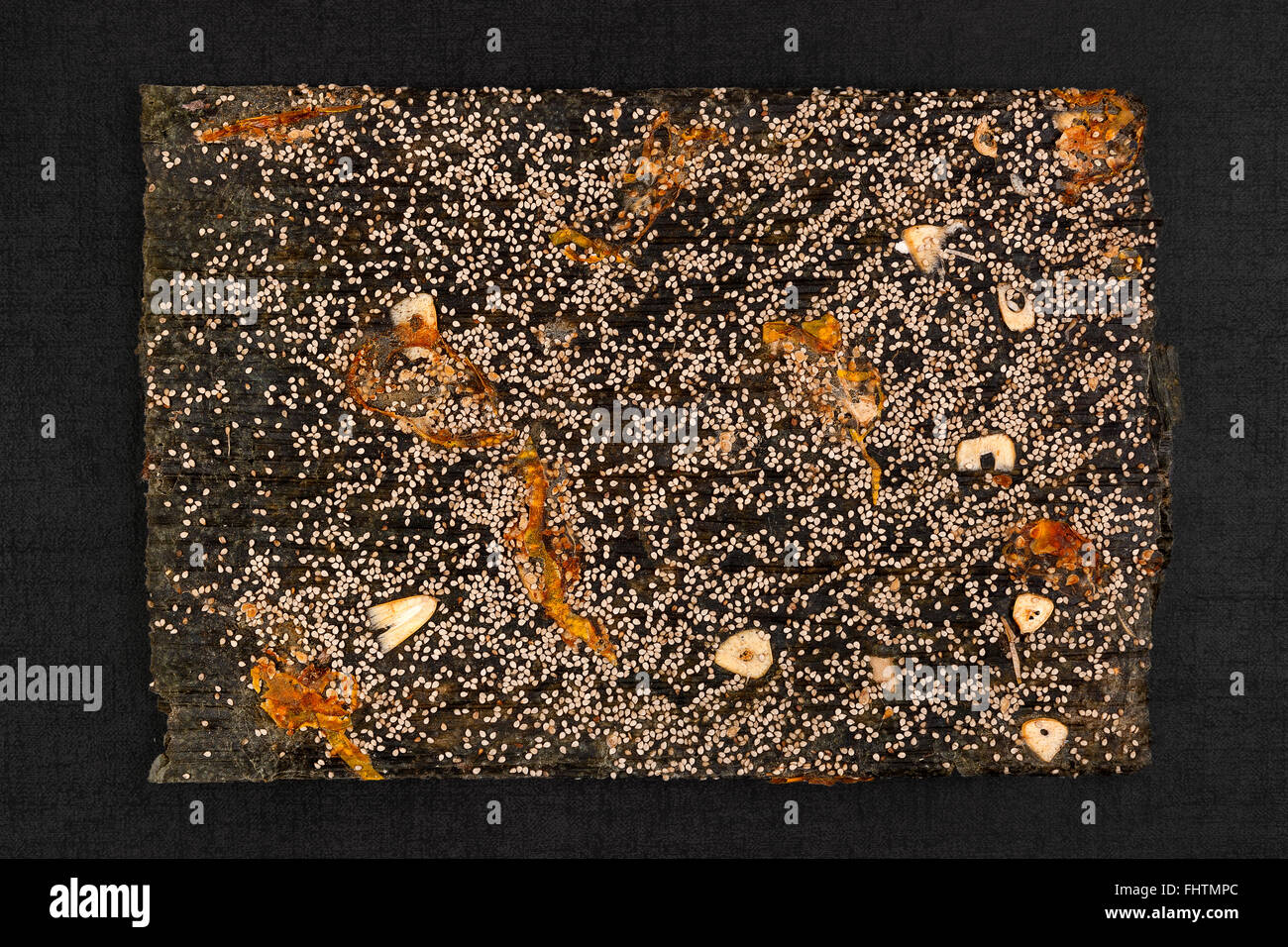 Ao nori -Fotos und -Bildmaterial in hoher Auflösung – Alamy