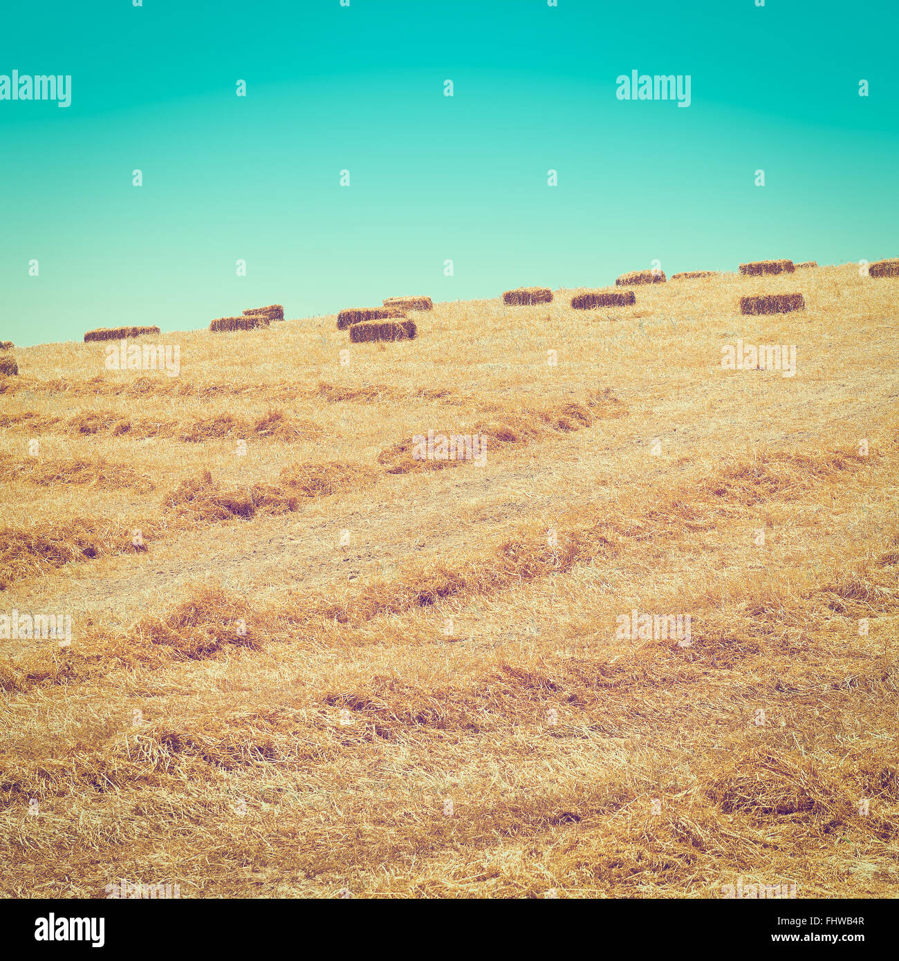 Heu pellets -Fotos und -Bildmaterial in hoher Auflösung – Alamy