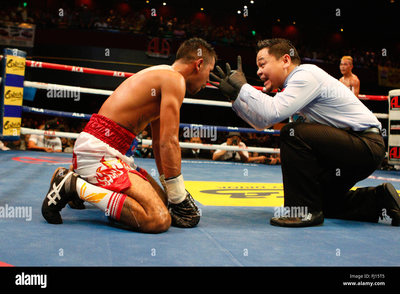 Filipino boxer -Fotos und -Bildmaterial in hoher Auflösung – Alamy